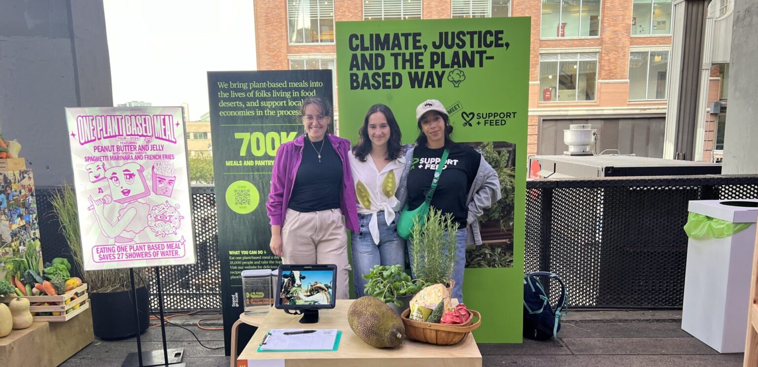 Our Programs - Support And Feed