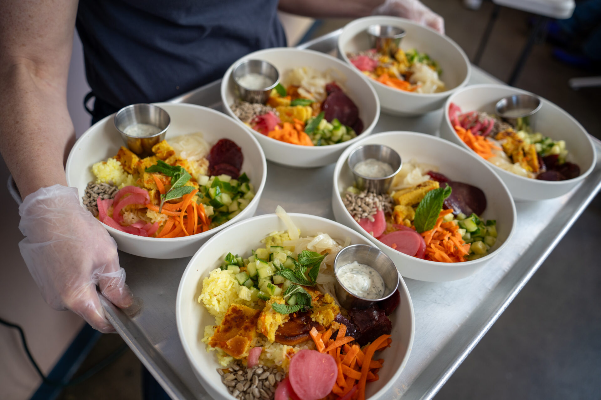Our Programs - Support And Feed