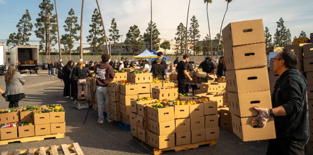 About us - Support And Feed