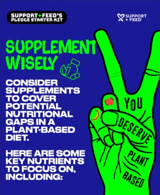 Support and Feed